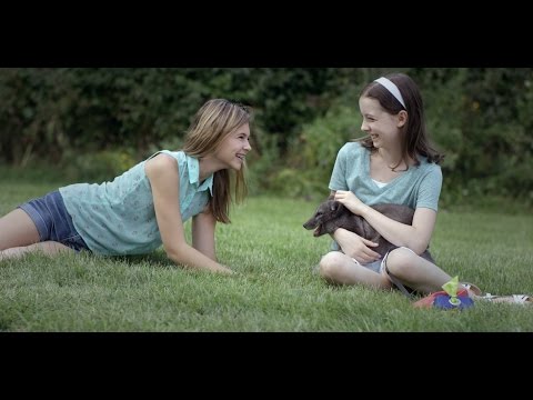 AMANDA AND THE FOX (Official Theatrical Trailer)