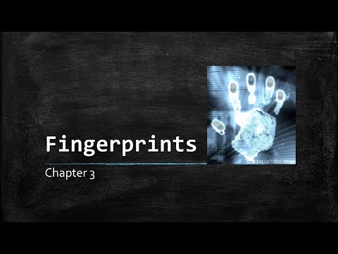 Chapter 3: Types of Fingerprints