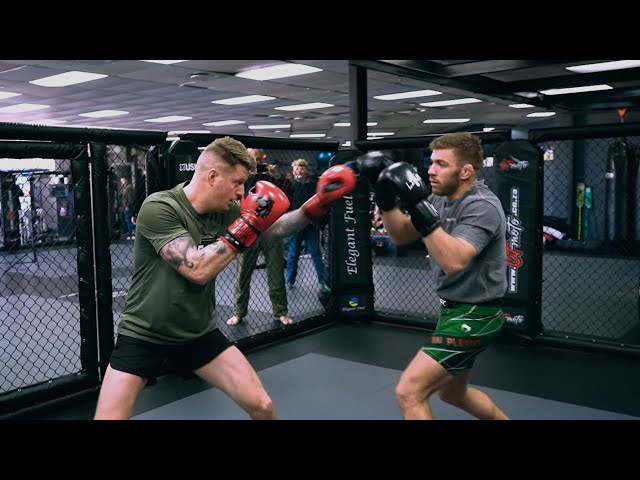 "Frozen like Elsa" - Fans react to Dricus du Plessis dropping social ...