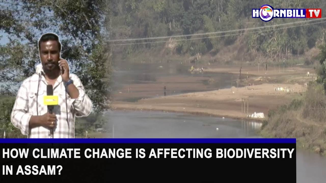 HOW CLIMATE CHANGE IS AFFECTING BIODIVERSITY IN ASSAM?