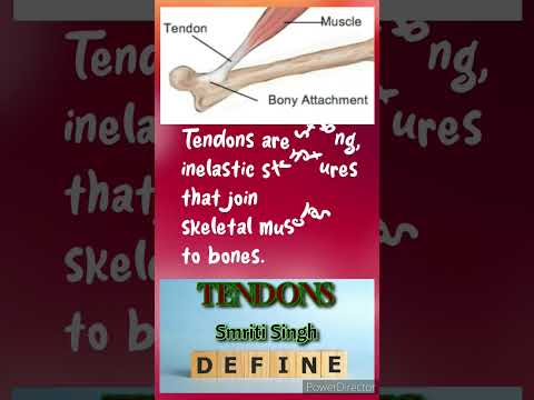 Define Tendons/ Definition of Tendons/ What is Tendons #smritiSinghbiology #smritimam