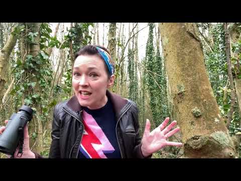 Children's Author M. G. Leonard has gone down to the woods to introduces her book TWITCH!