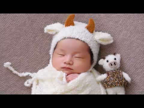 🌙 Royal Baby Names of Norway | History, Meaning & Popularity in the U.S. 👑