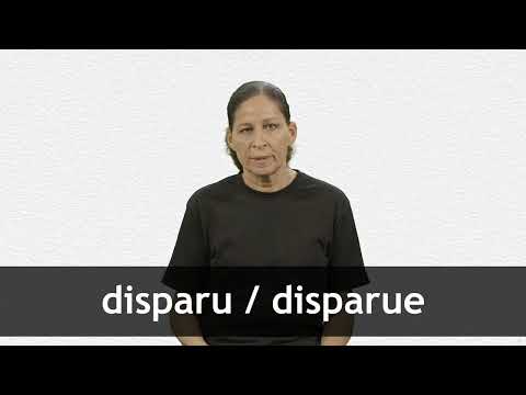 English Translation of “DISPARU” | Collins French-English Dictionary