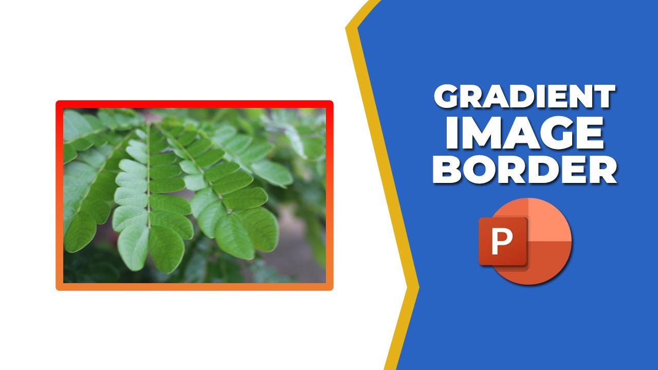 How to make gradient image border in PowerPoint