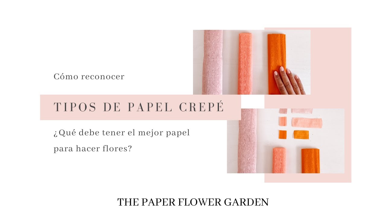 Tipos de papel crepé | ¿Qué es el papel crepé? | ¿Qué debe tener el papel para hacer flores?