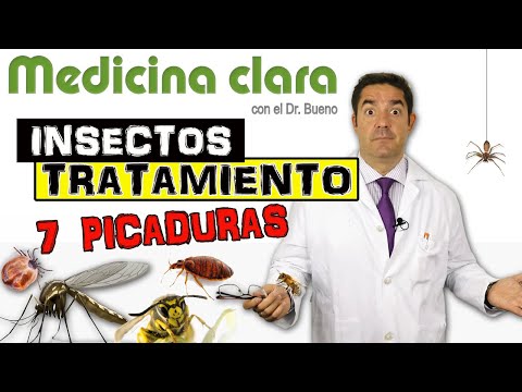 7 PICADURAS de INSECTOS TRATAMIENTO | Especial ATENCIÓN a las 2 ÚLTIMAS | Medicina Clara