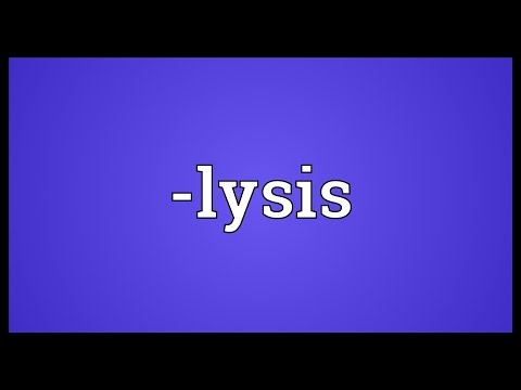 -lysis Meaning