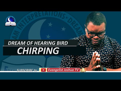 Dream of Hearing a Bird Chirping Day or Night - Hearing Bird Singing Meaning