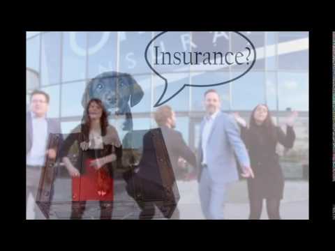 National general insurance