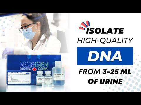 Urine DNA Isolation Kit (Slurry Format) | Cat. 48800