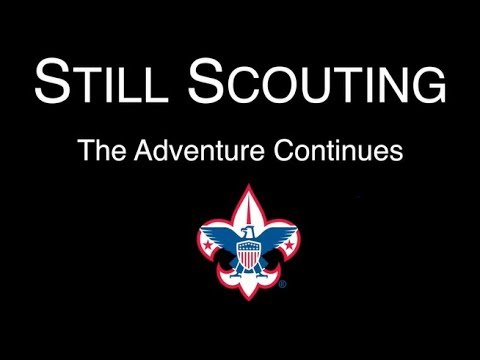 Still Scouting: Transition Guidelines and Timeline