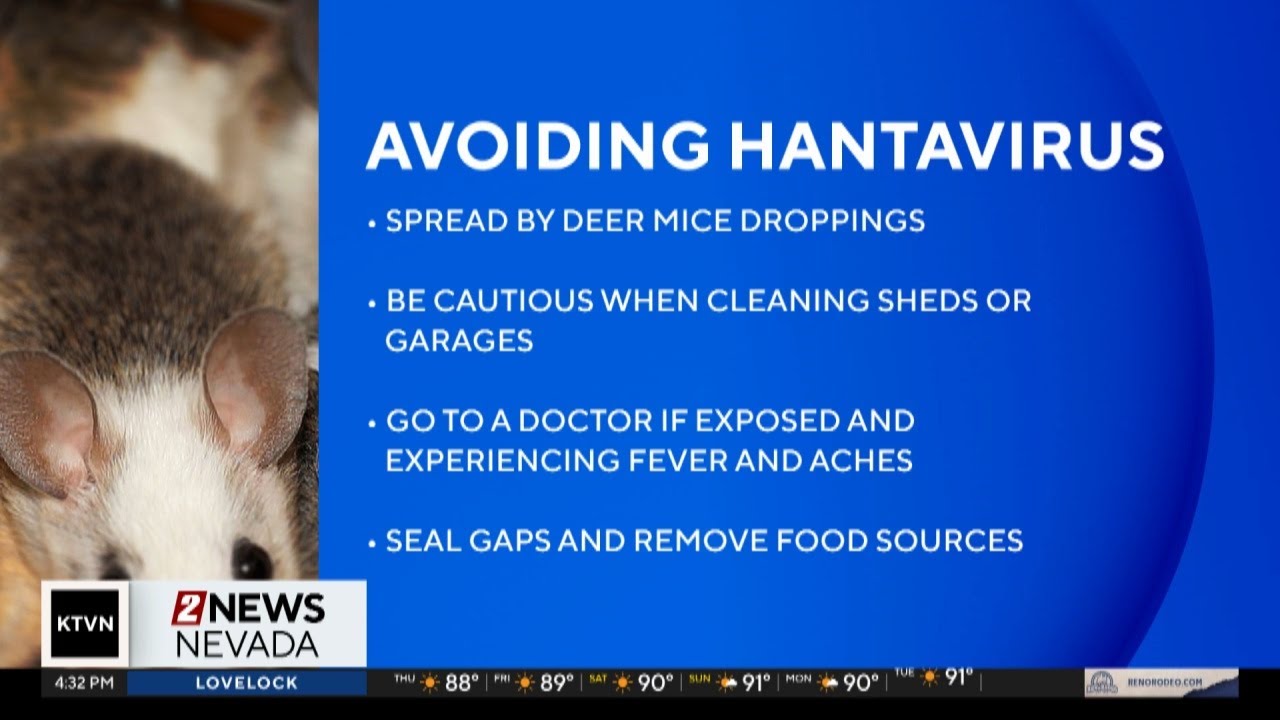 Tips for avoiding hantavirus