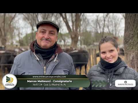 Resultados de su búsqueda