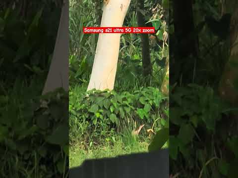 Samsung s21 ultra 5G 20x zoom#youtubeshorts #samsungs21ultra