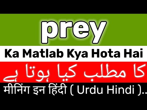 Prey Meaning | Prey Meaning In Urdu | Prey Ka Matlab Kya Hai | Prey Ka Meaning Kya Hai