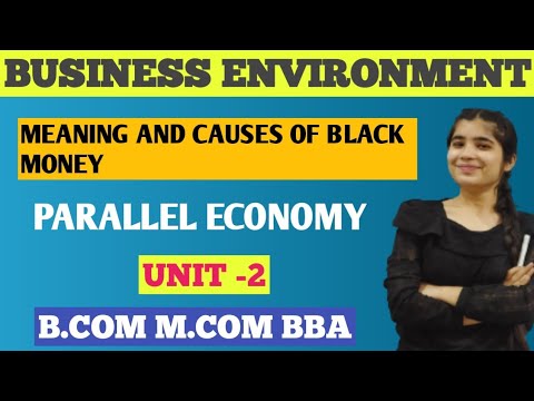 Meaning of Black Money And Causes |Parallel Economy ||Business Environment Unit - 2 BBa Bcom Mcom