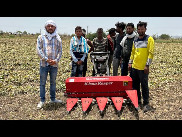 Gehu Cutting Machine - Black Gram Harvester Machine / Power Reaper ...