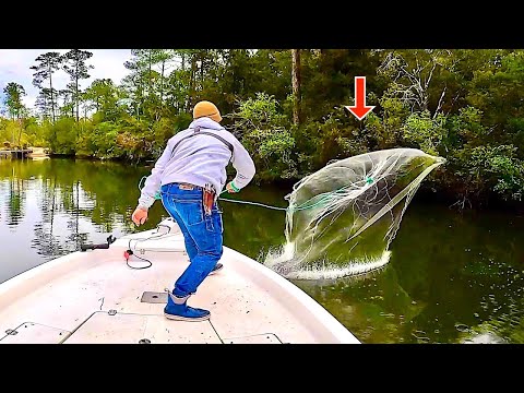 I Was Amazed at What I Caught in My Cast Net!