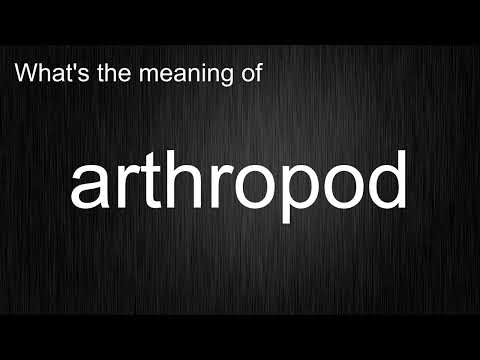 What's the meaning of "arthropod", How to pronounce arthropod?
