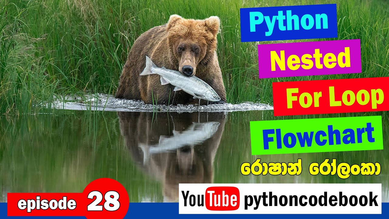Episode 28 - Python Nested For Loop & Flowchart  (Sinhala)