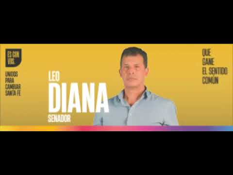 400 x 150 diana solo