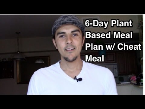 6 Day Plant Based Meal Plan with "Cheat Meal" pt 1