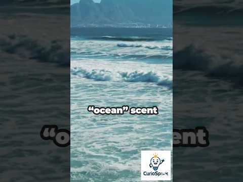 Ever Smell the Ocean Scent? #facts #science #daily #didyouknow #ocean #funfacts #curiospark