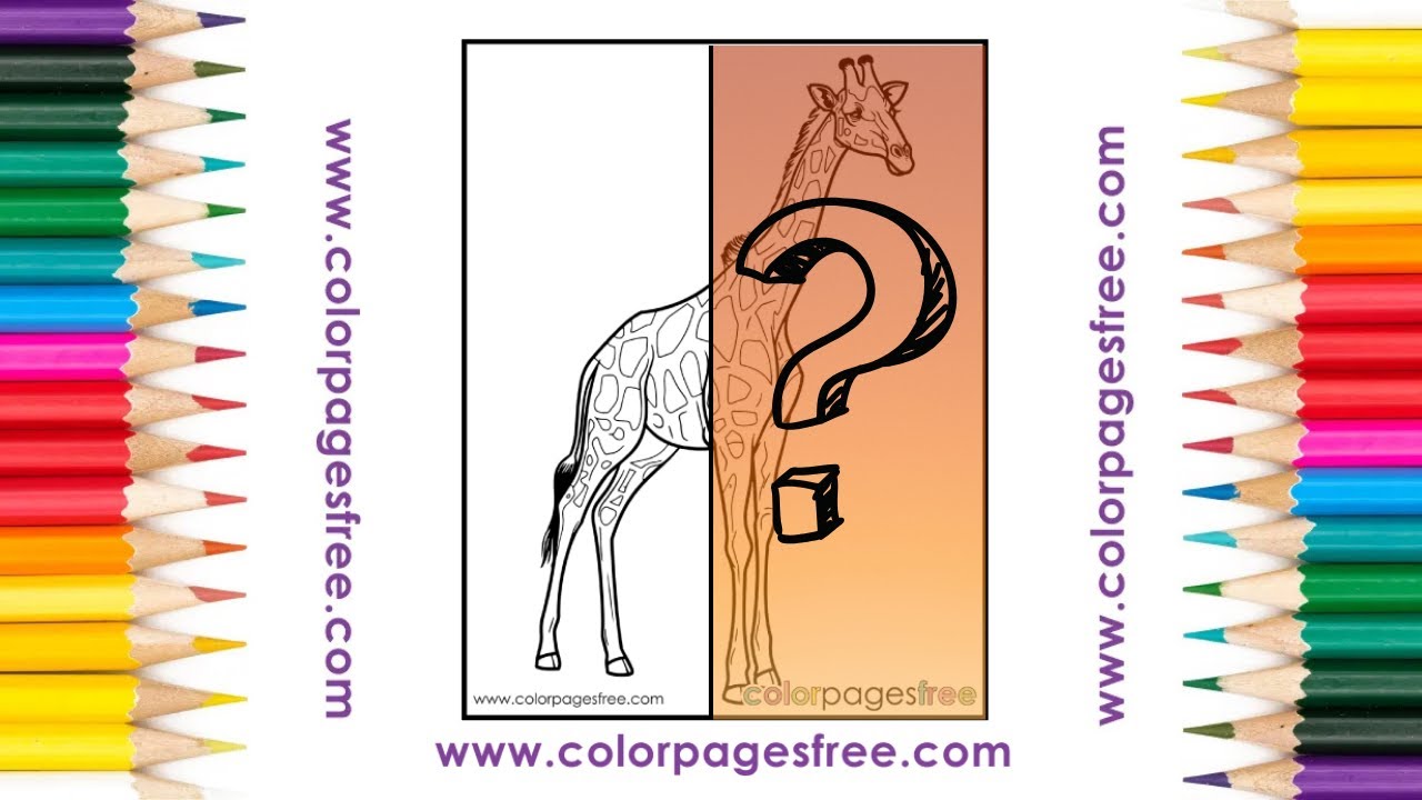 Realistic Giraffe Coloring Page ASMR | Satisfying