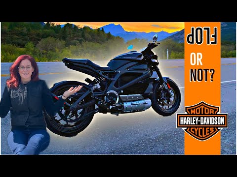 LiveWire Electric Harley Davidson! Flop or Not? Full review [200KM]