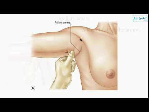 axillary crease (English) - Medical terminology for medical students -