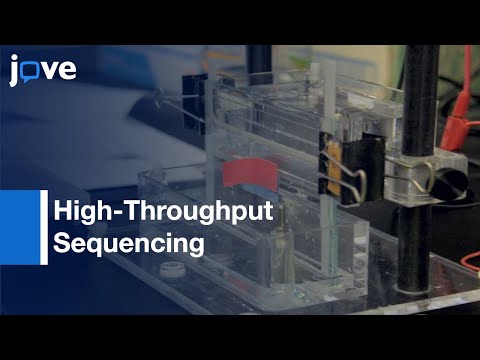 Ligation:Small RNA Molecules For MicroRNA Quantitation:High-Throughput Sequencing l Protocol Preview