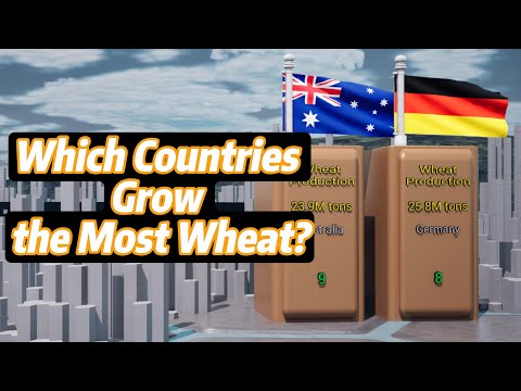 Wheat Production RANKINGS Around The World in 2025!