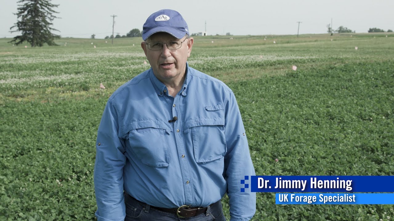 Jimmy Henning Testing Clover Varieties