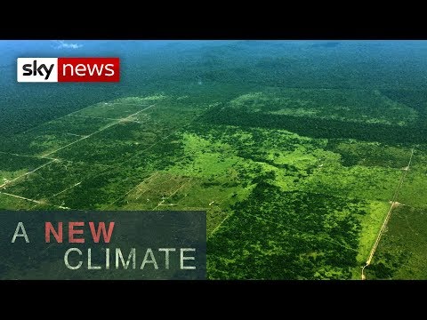 The threat to the Amazon rainforest l A New Climate