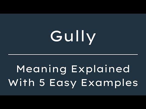 What Does Gully Mean? Gully Meaning in English With 5 Example Sentences