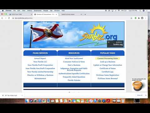 Filing your Annual Report with Florida