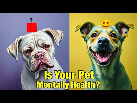 Mental Health Insights for Non-Traditional Pets | Animal Care Hub