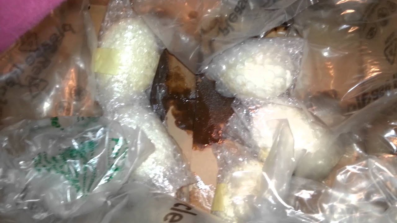Unpacking the shipped Pilgrim Goose Eggs