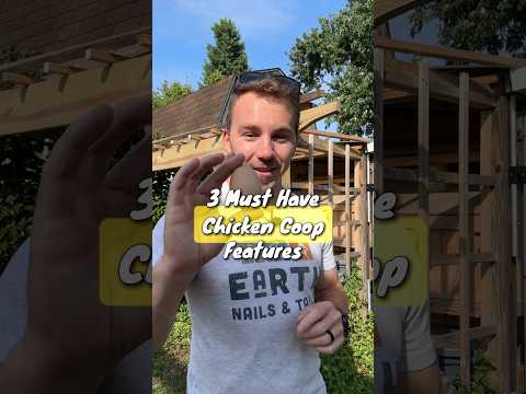 3 Must Have Chicken Coop Features