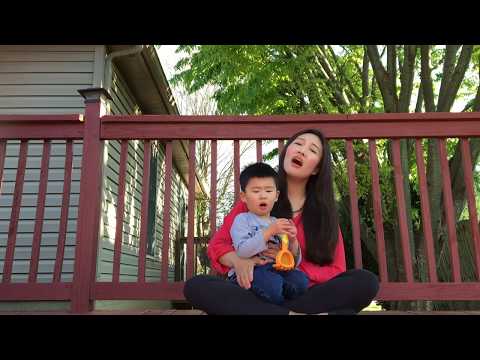 Wonderful Peace (Cover by Ann Lim)
