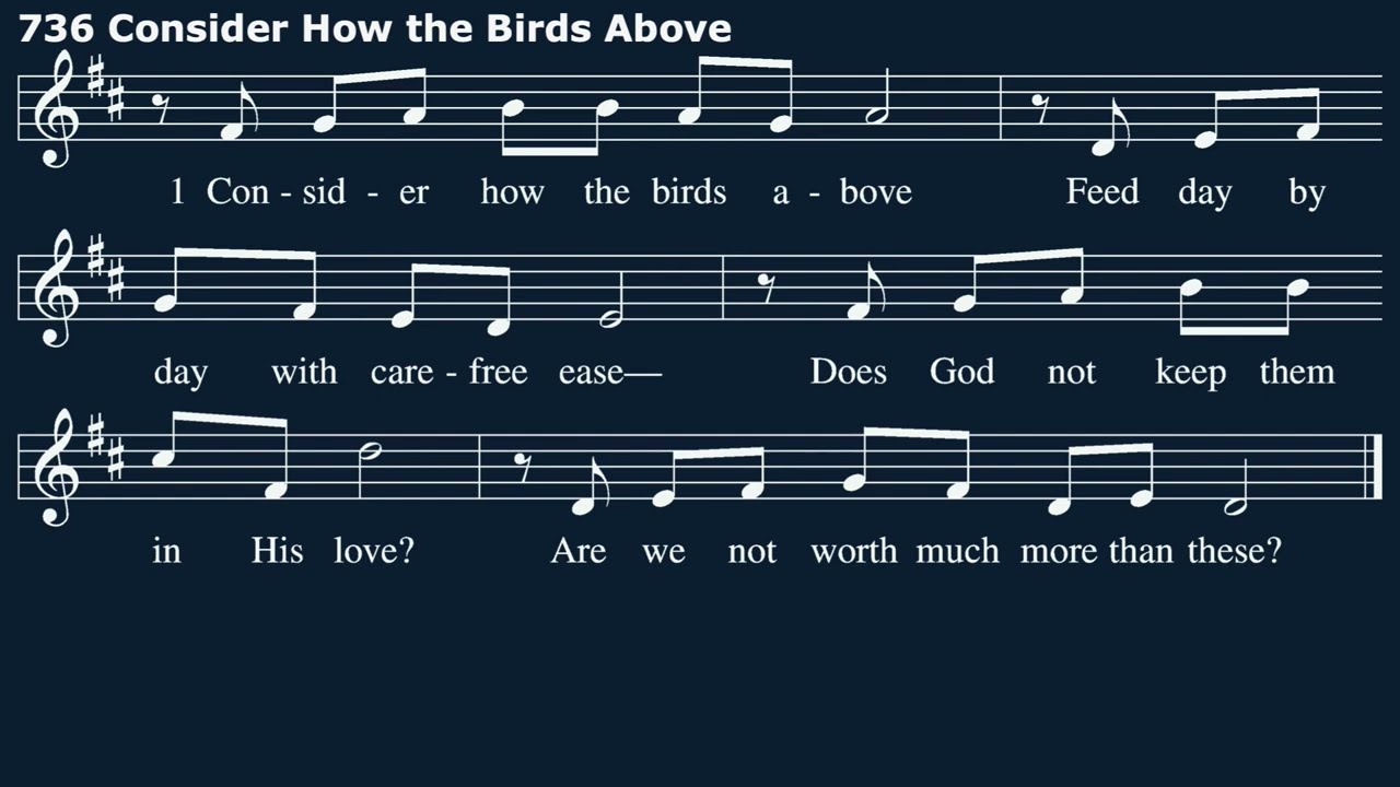 Hymn 736: Consider How the Birds Above