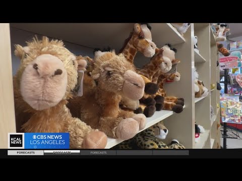 Turning back the block with the oldest toy store in Los Angeles
