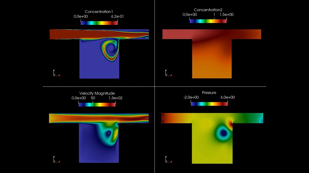 ICFD LS-DYNA: multi-species transport solver.