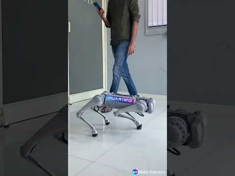 Vision Systems and Service Robot Service Provider | Muks Robotics AI ...