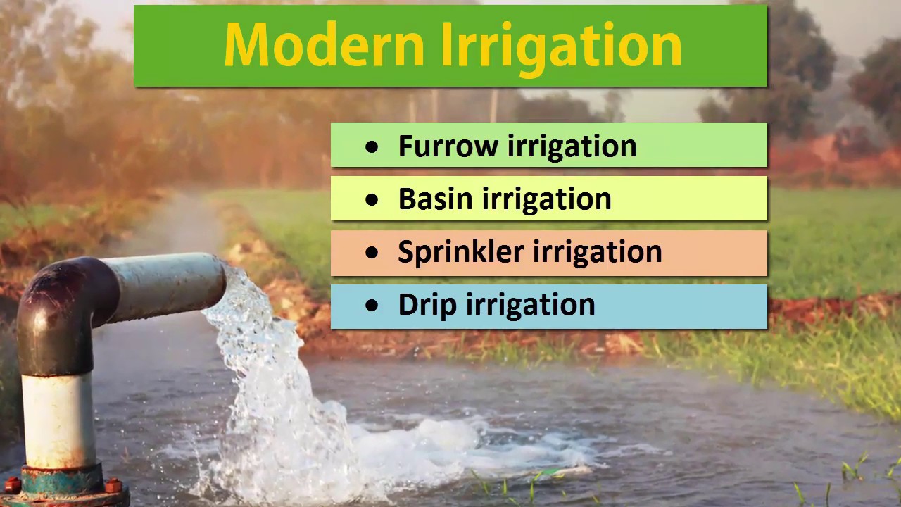 Modern Irrigation | Macmillan Education India