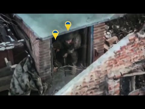 Ukraine Panic: Fatal Mistake Hiding in the Basement