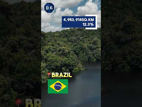 Do you know which Countries have the Largest Forests in the World?