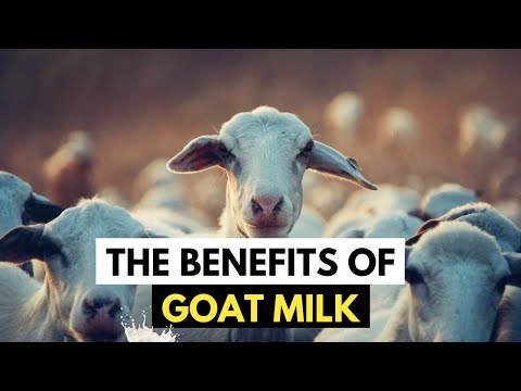 Benefits of Goat Milk