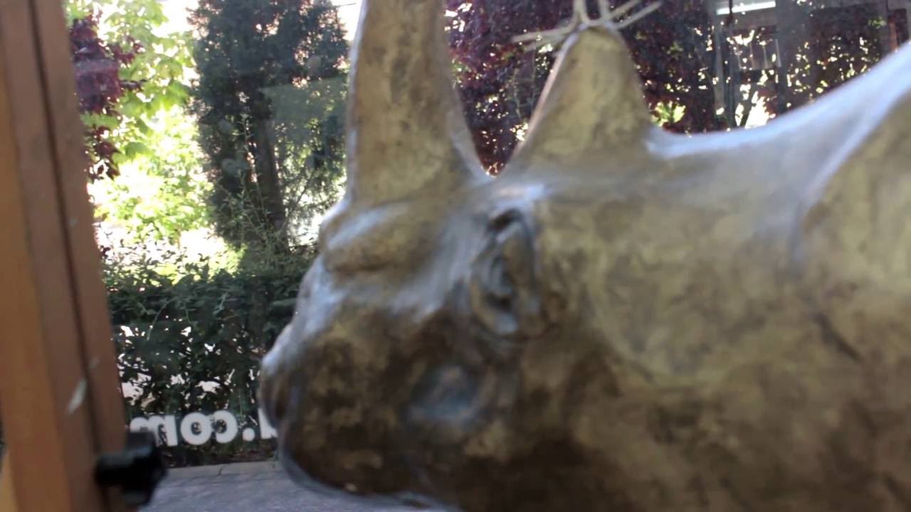 El taller de La Salamandra -Presentación-